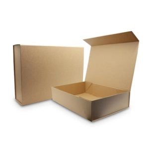 Ficus Pax Pvt. Ltd.: Redefining The Packaging Landscape Through Eco ...