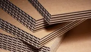 Ficus Pax Pvt. Ltd.: Redefining The Packaging Landscape Through Eco ...